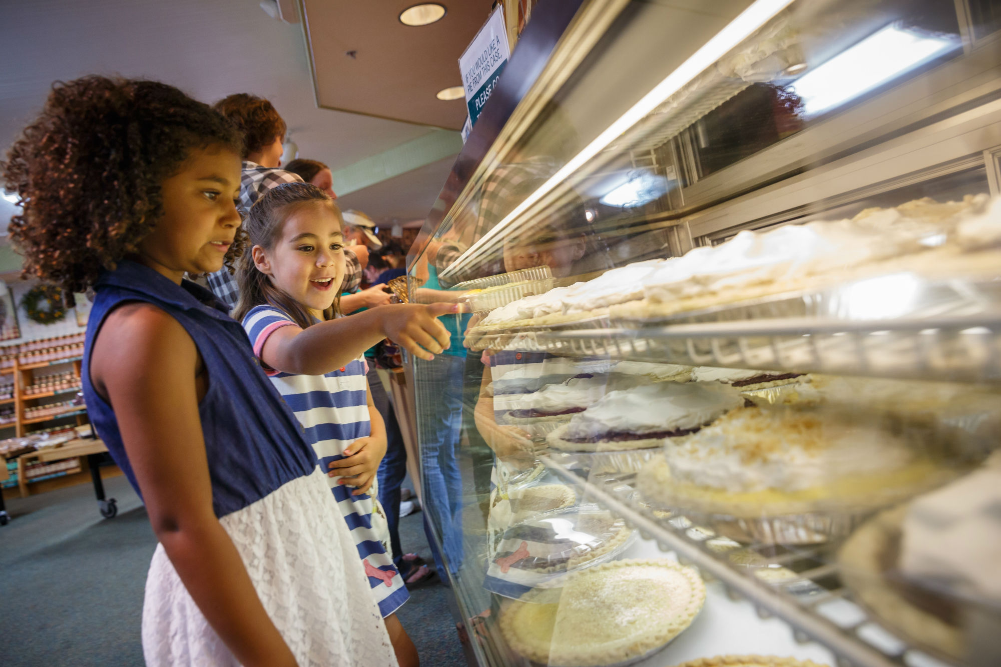 7 Best Bakeries and Desserts | NITDC