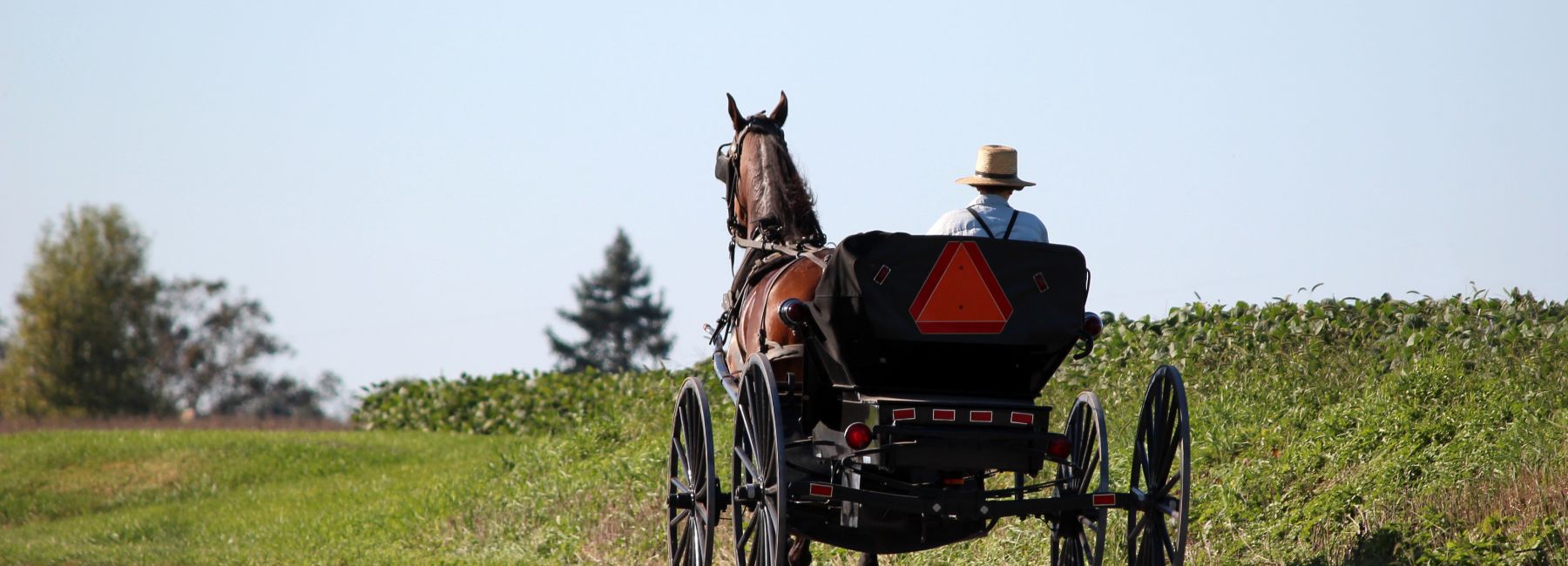 Weekend Escape Series: Amish Adventures | NITDC