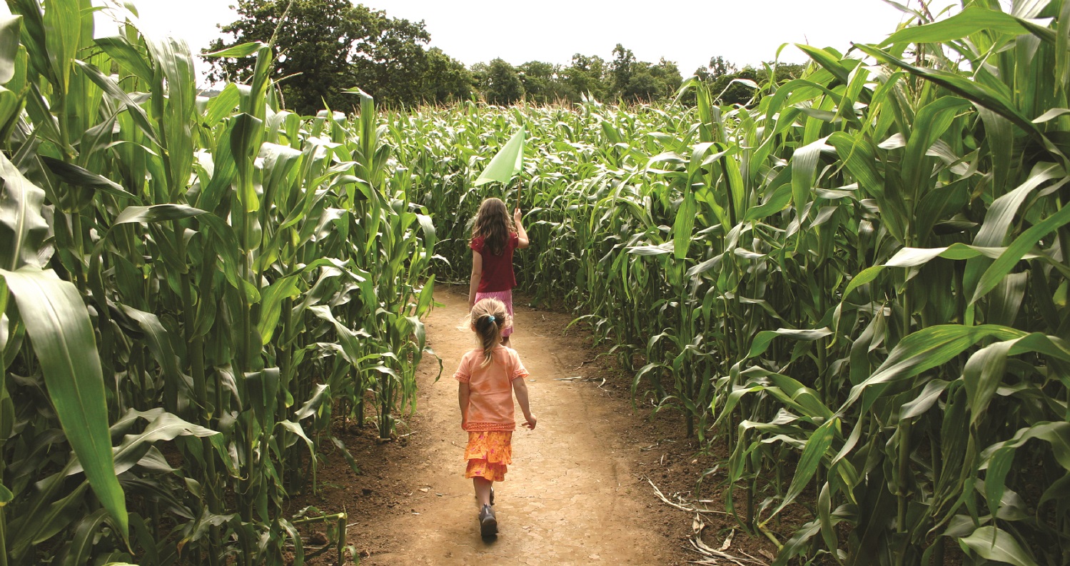 The Best Fall Family Fun in Indiana’s Cool North | NITDC