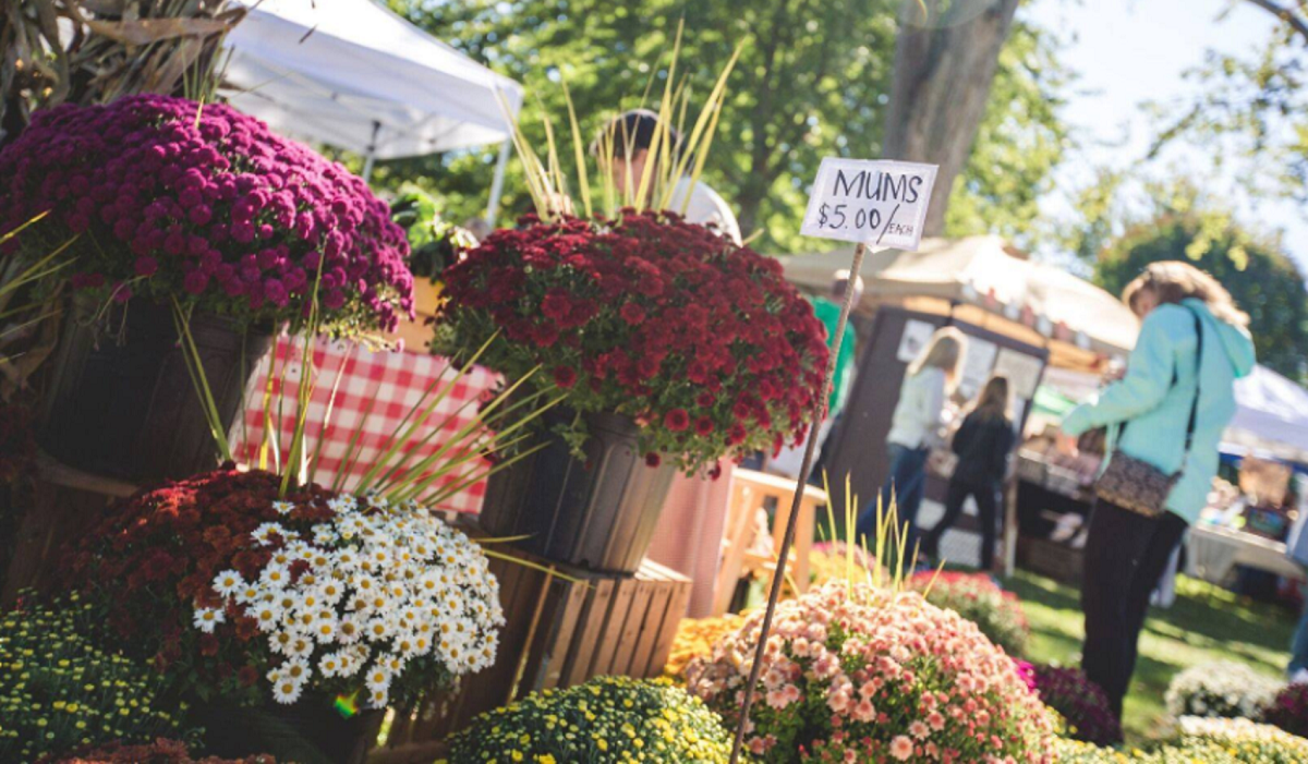 Syracuse Fall Harvest Festival | NITDC