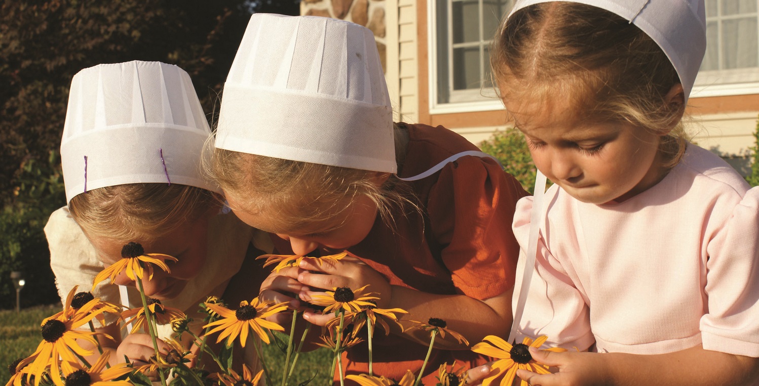 Discover the Fascinating World of the Amish | NITDC