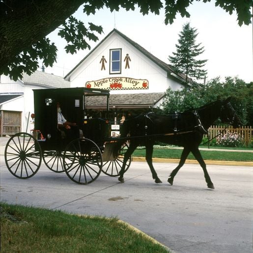 Discover the Fascinating World of the Amish in Northern Indiana | NITDC