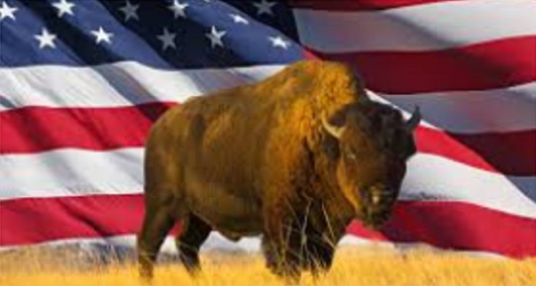 Bison, Band & BBQ | NITDC