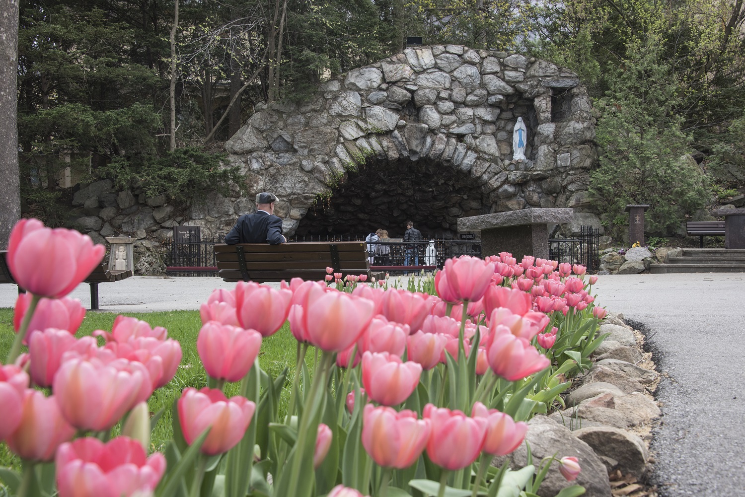 Eight Spring Scenes to Explore in Indiana’s Cool North | NITDC