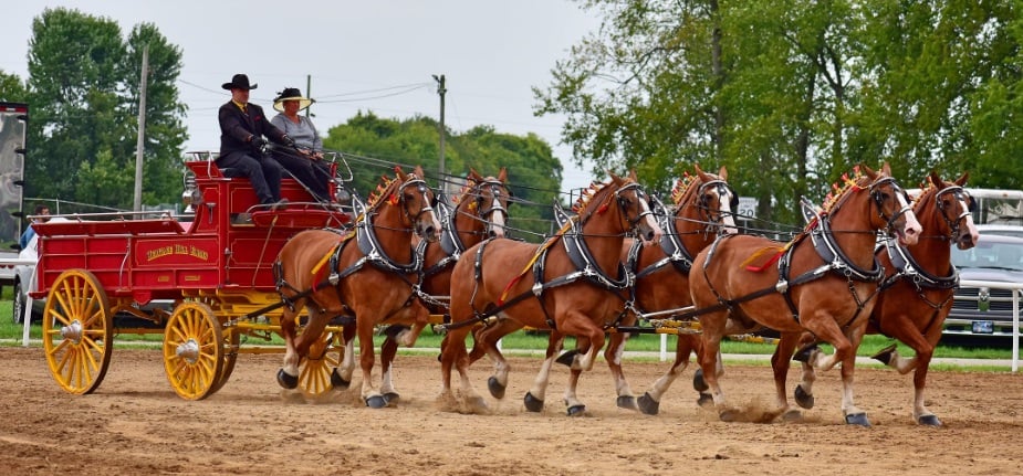 LaPorte County Draft Horse Show | NITDC