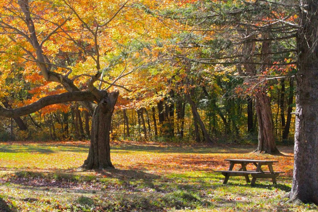 Places to See Fall Foliage in Indiana’s Cool North | NITDC