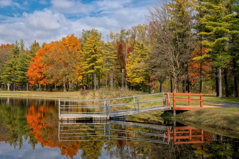 Places to See Fall Foliage in Indiana’s Cool North | NITDC