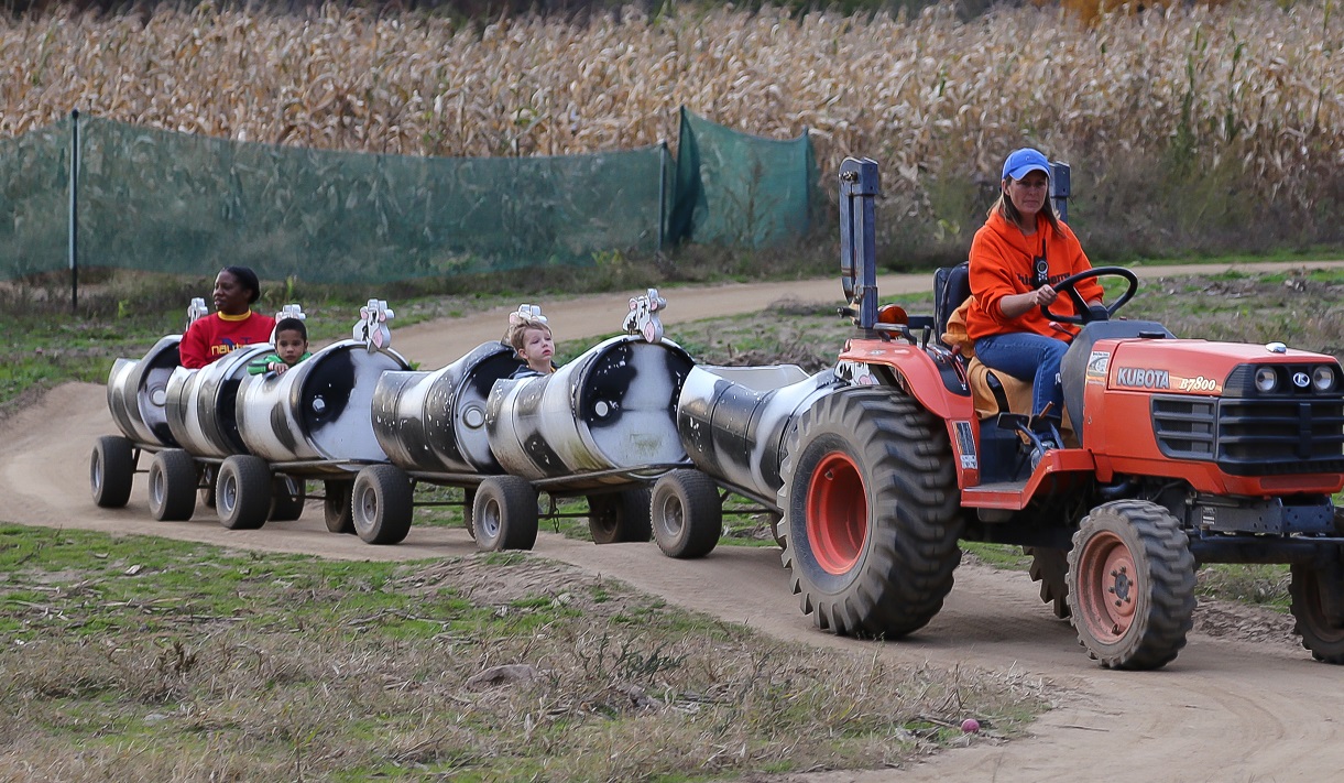 Thistleberry Farm | NITDC