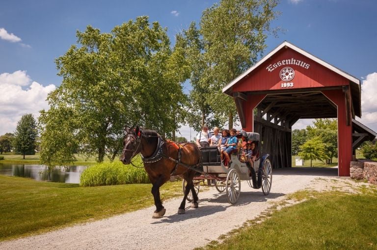 Discover the Fascinating World of the Amish | NITDC