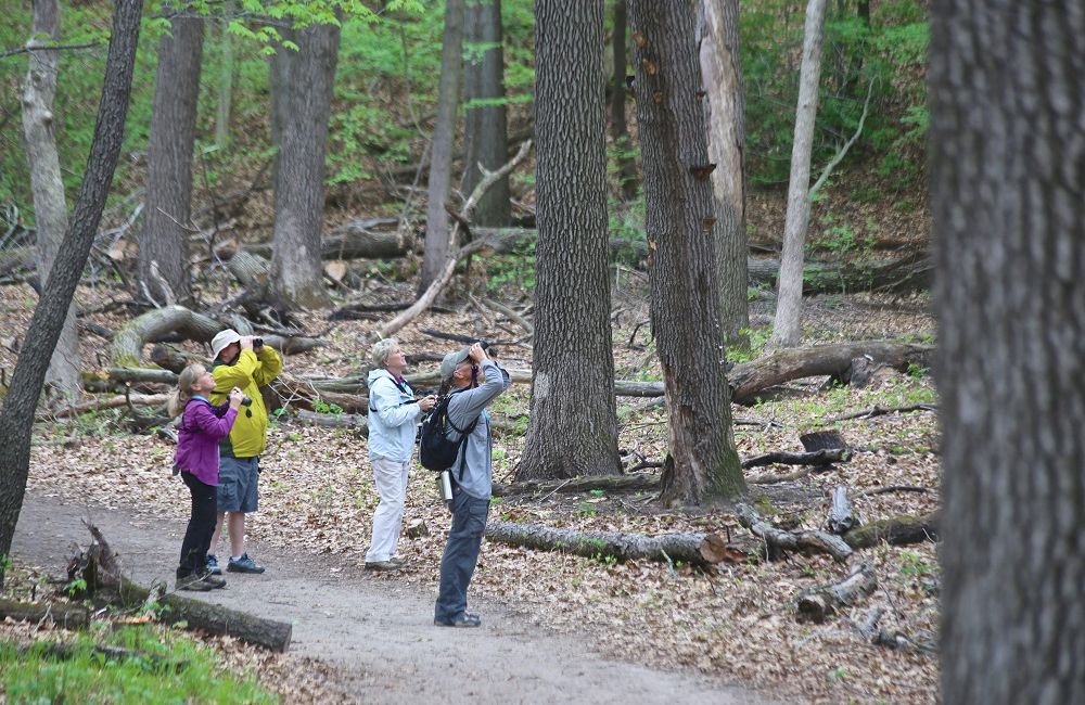 Northern Indiana Events | NITDC