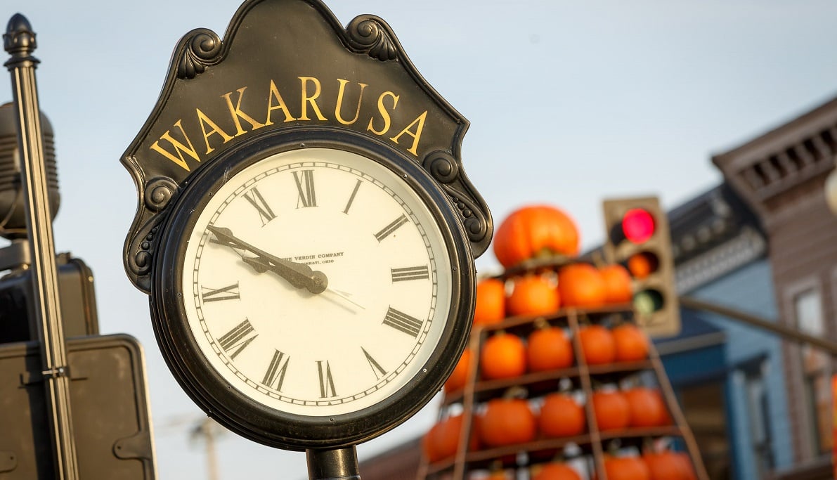 WAKARUSA PUMPKIN TREE | NITDC
