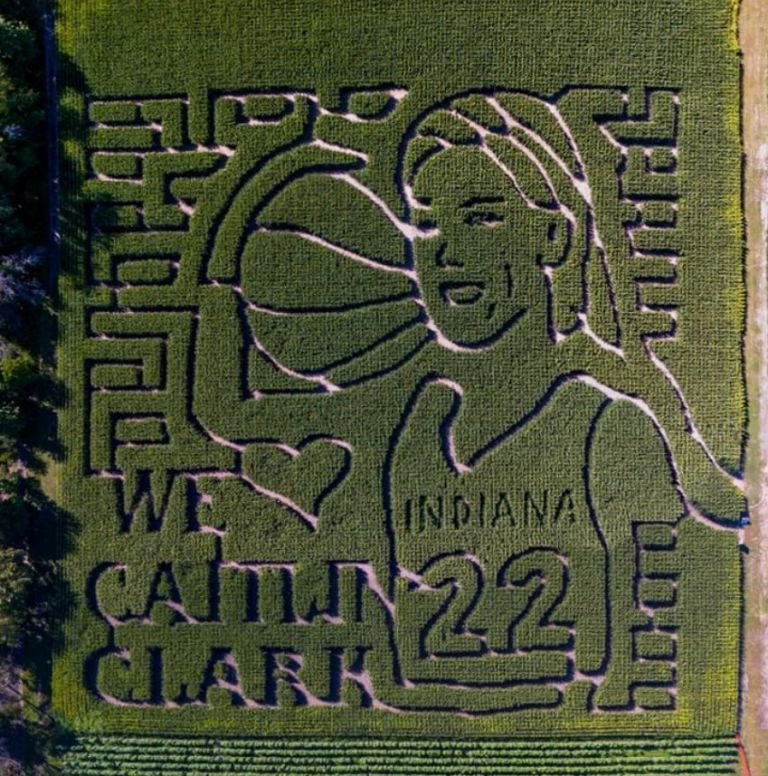 County Line Orchard | NITDC