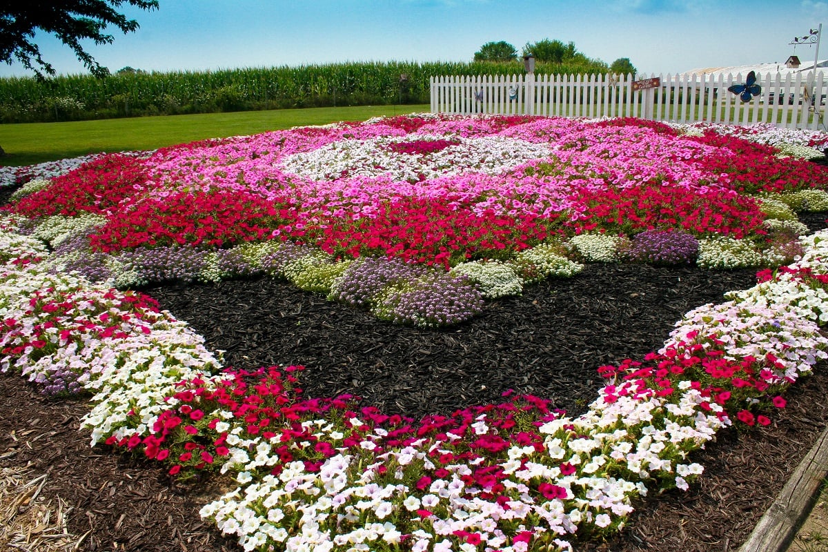 Quilt Gardens along the Heritage Trail | NITDC