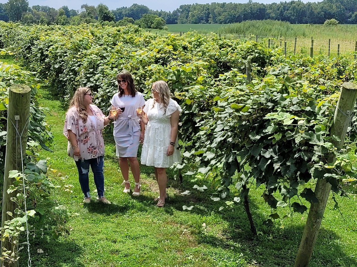 Sip and Savor: A Winery Tour of Northern Indiana | NITDC