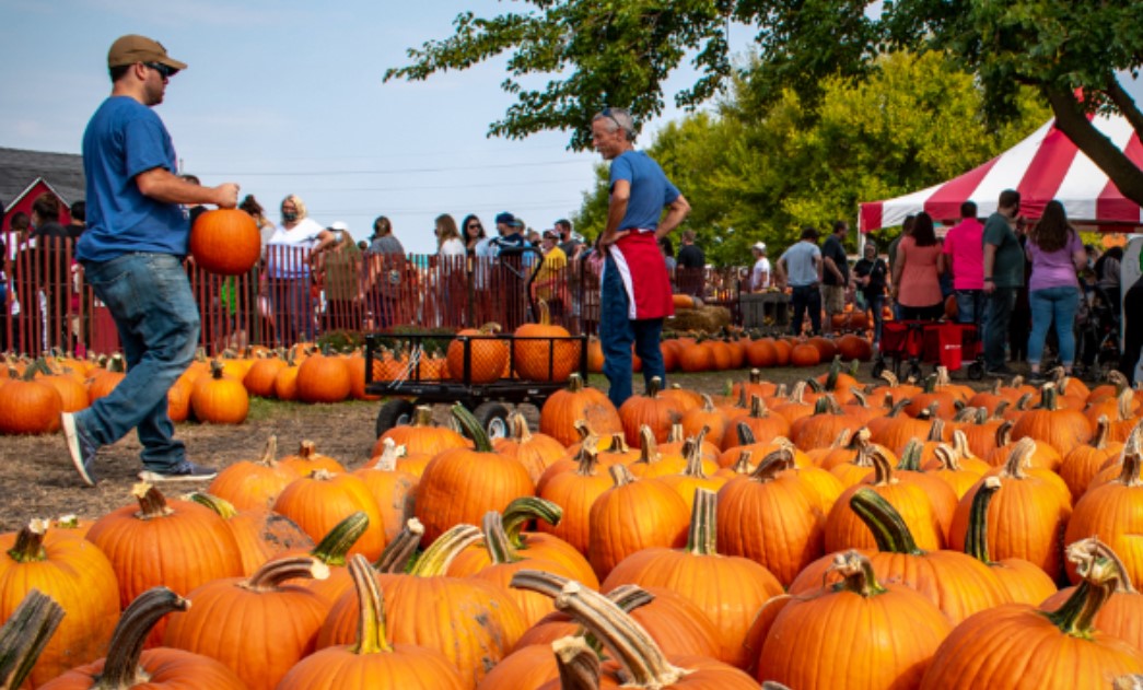 Fall Festival at Harvest Tyme Family Farm | NITDC