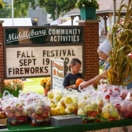 Things To Do In Nothern Indiana | NITDC
