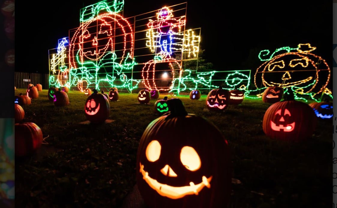 Pumpkin Glow Trail at Harvest Tyme Family Farm | NITDC
