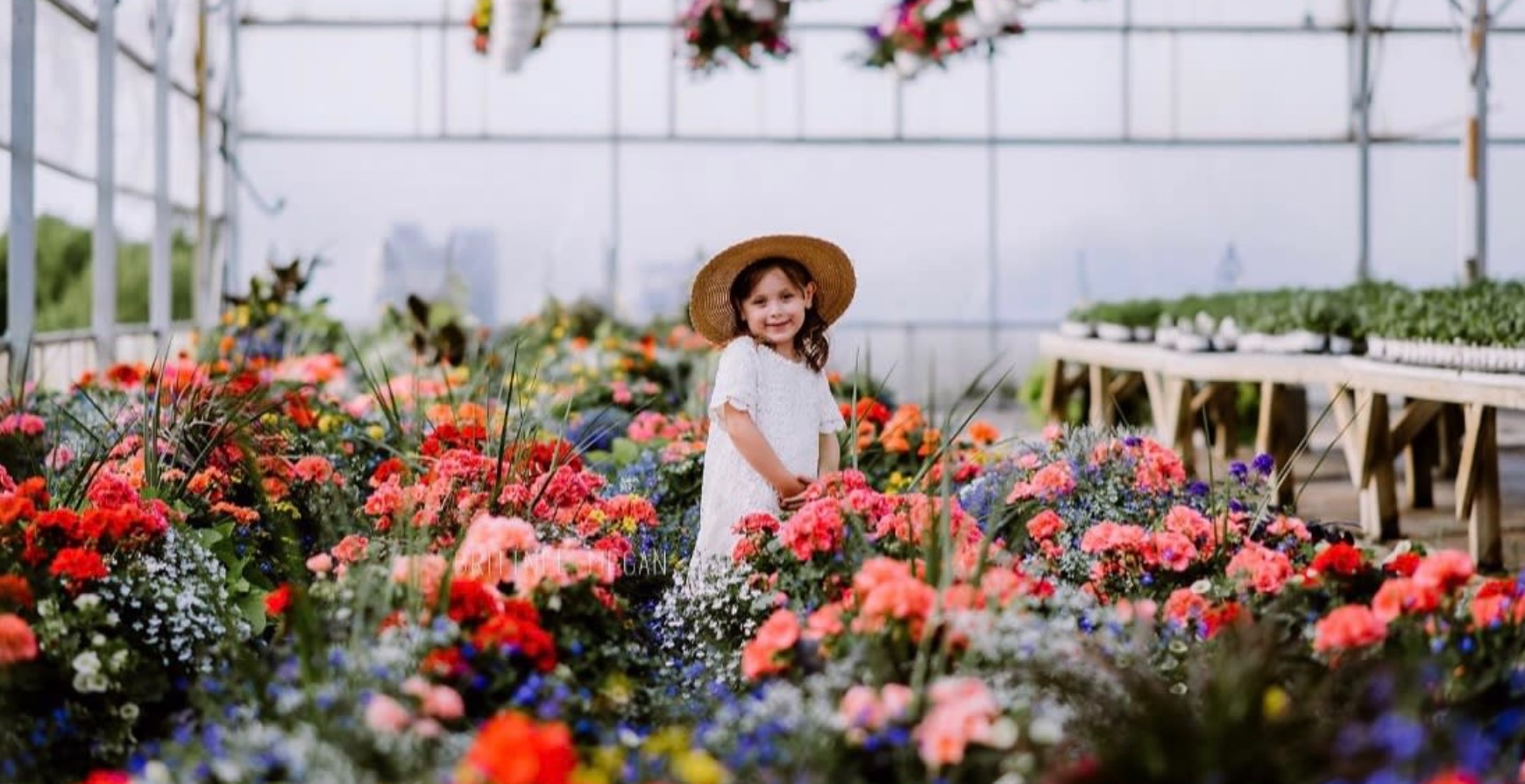 Best Northern Indiana’s Farmer’s Markets | NITDC