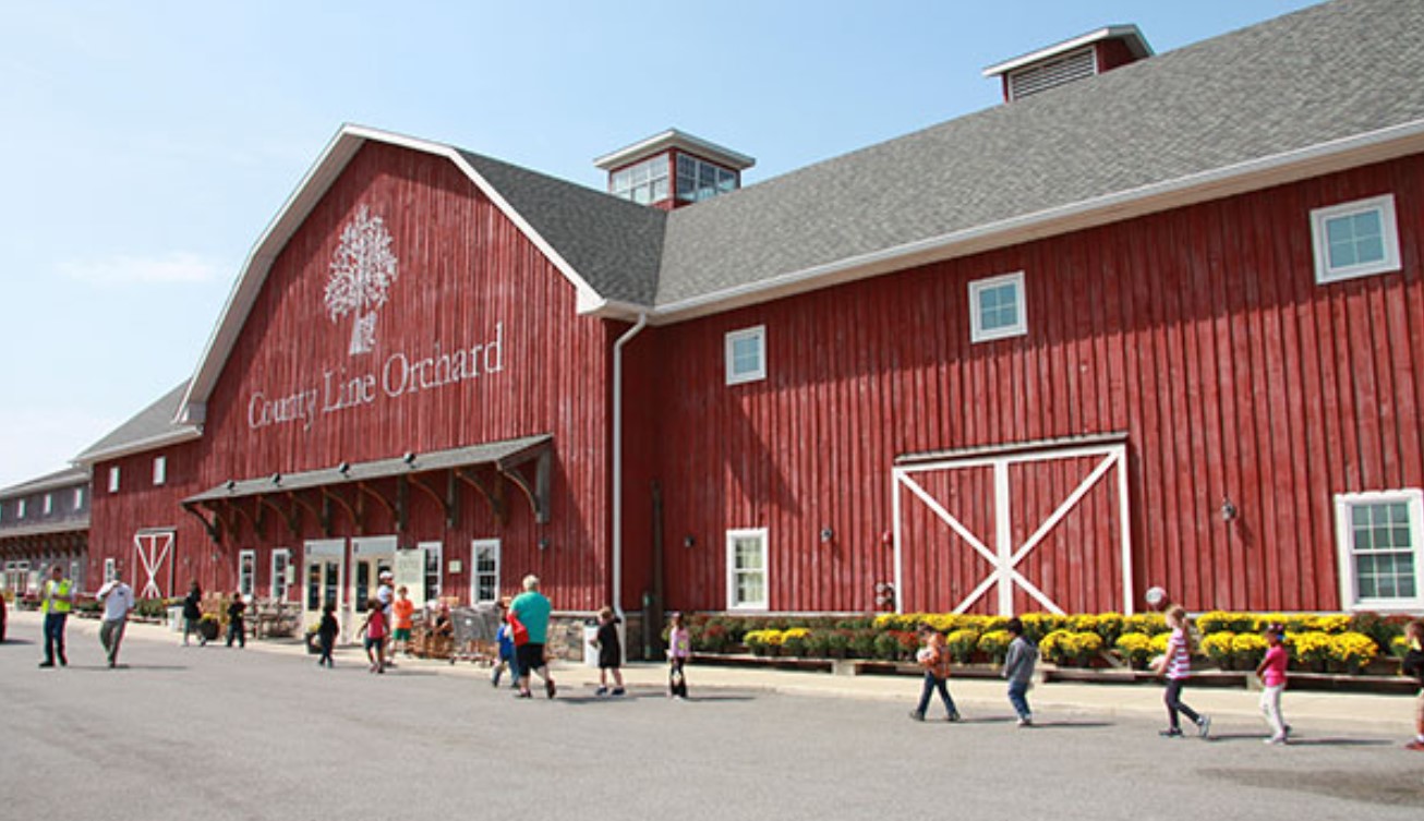 County Line Orchard | NITDC