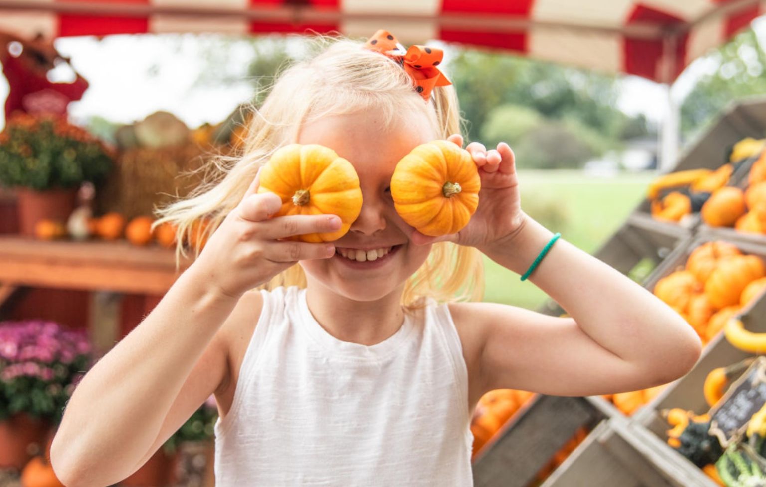 The Best Fall Family Fun in Indiana’s Cool North | NITDC