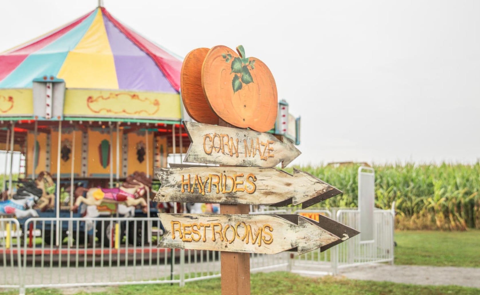 Fall Festival at Harvest Tyme Family Farm | NITDC